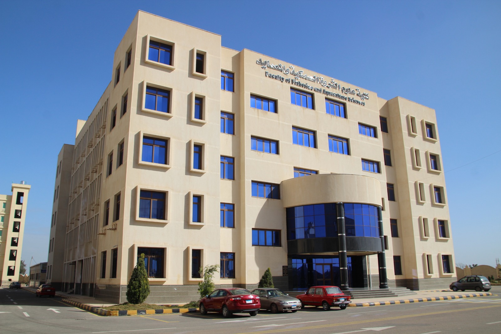 جامعة كفر الشيخ | Kafrelsheikh University